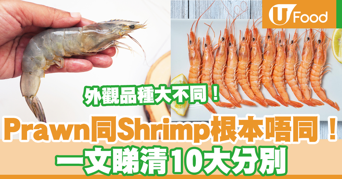 Prawn與Shrimp都是蝦？ 一文看清10大分別／外觀品種大不同 | U Food