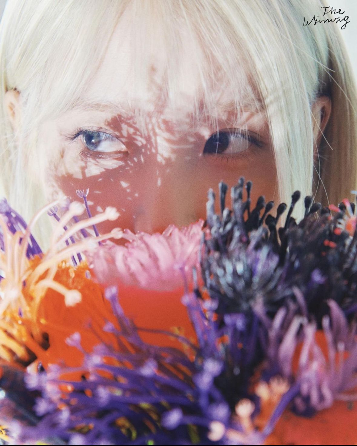 IU香港演唱會2024 ｜IU李知恩宣佈世界巡迴演唱會 落實5月香港站！票價／周邊商品／售票日期（不斷更新） | UHK 港生活