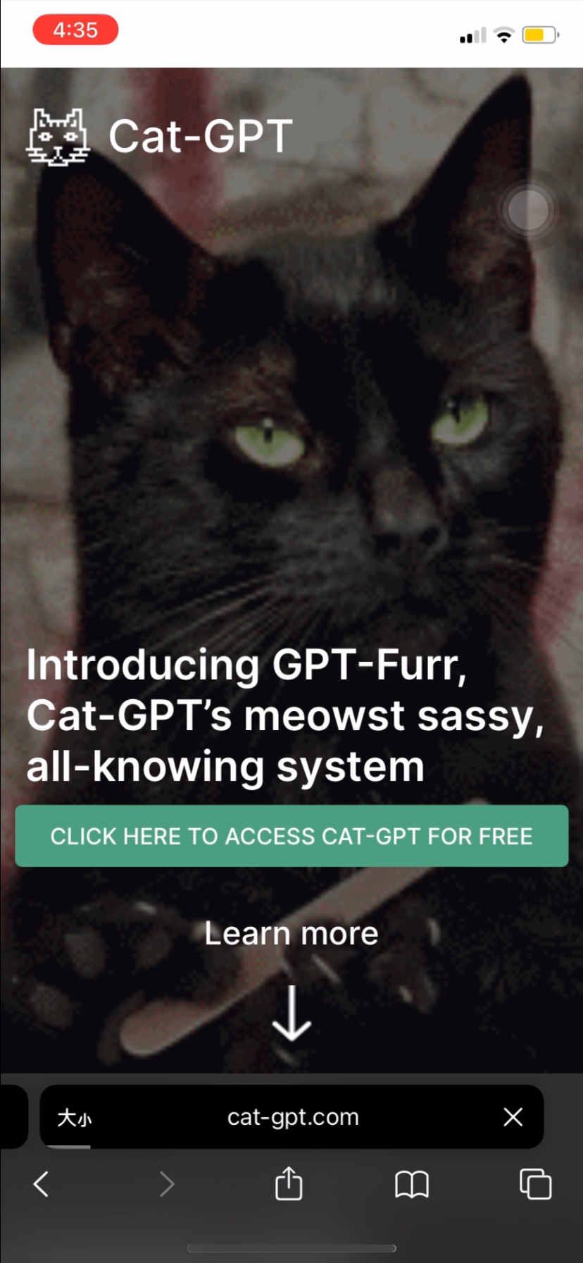 ChatGPT 打錯 CatGPT 竟然... 貓咪 AI 聊天機器人大發現！ | ezone