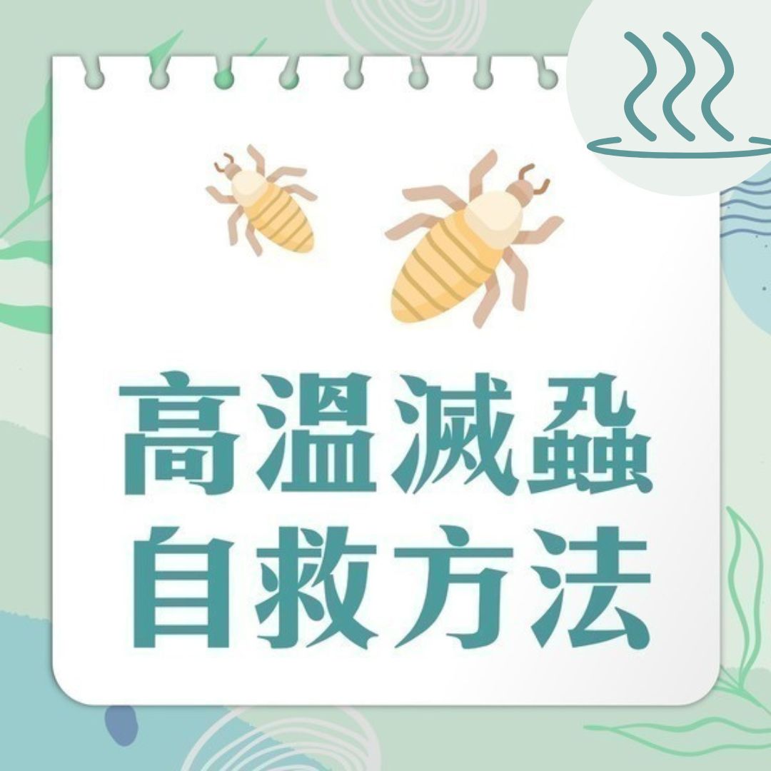 床蝨傷口處理︱蝨咬咬痕密集紅腫！床蝨天敵最怕什麼味道？有效滅蝨5方法 | UHK 港生活