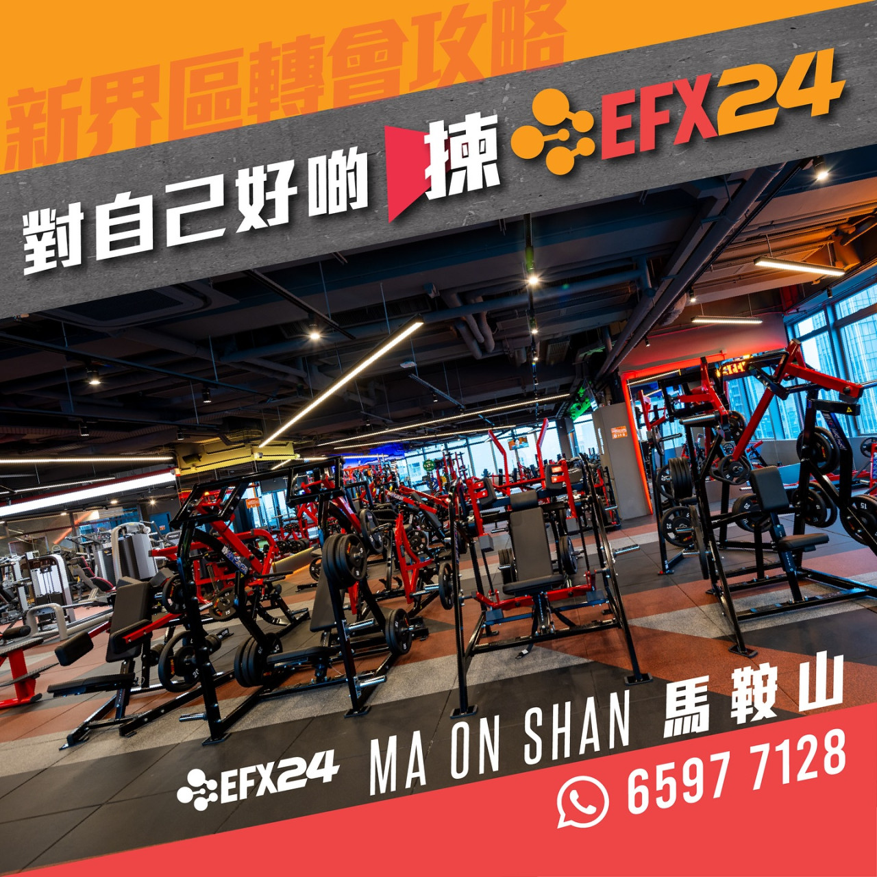 香港健身室推介 7大健身中心收費+優惠 EFX24/Anytime/24/7/PURE/GO24邊間好 | UHK 港生活