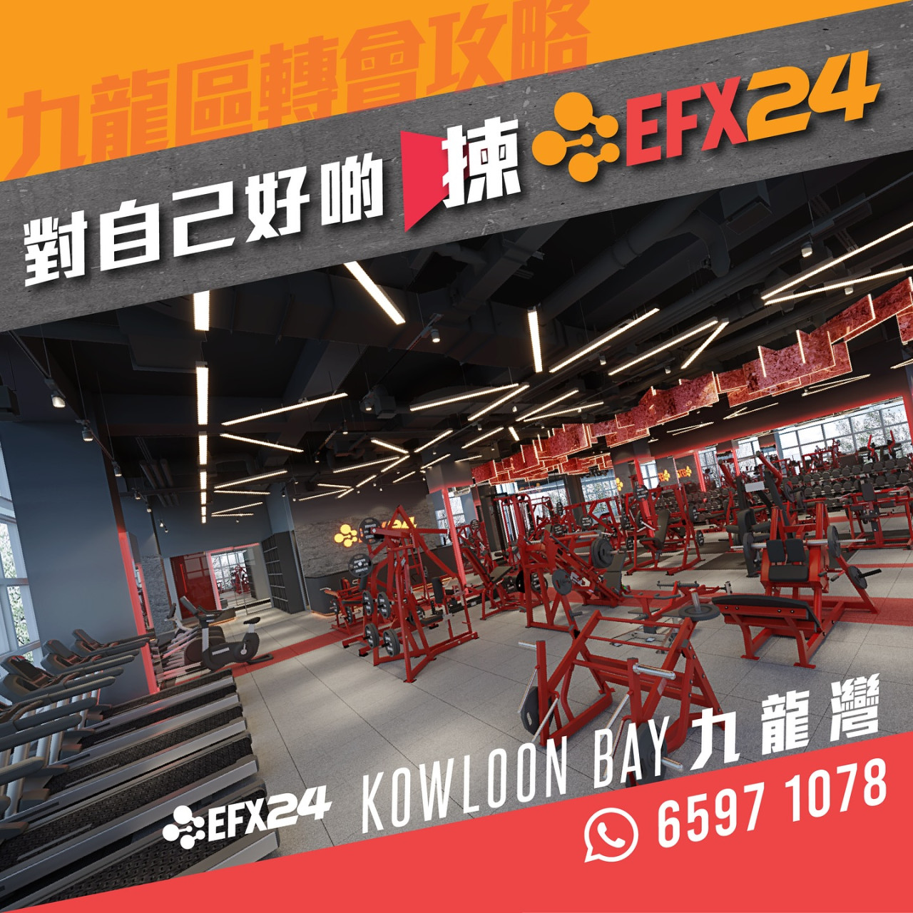 香港健身室推介 7大健身中心收費+優惠 EFX24/Anytime/24/7/PURE/GO24邊間好 | UHK 港生活