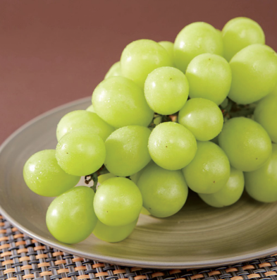 SOGO感謝祭2024｜SOGO Thankful Week開鑼！多款化妝品/護膚品/家品低至4折！附圖片及價錢！ | UHK 港生活