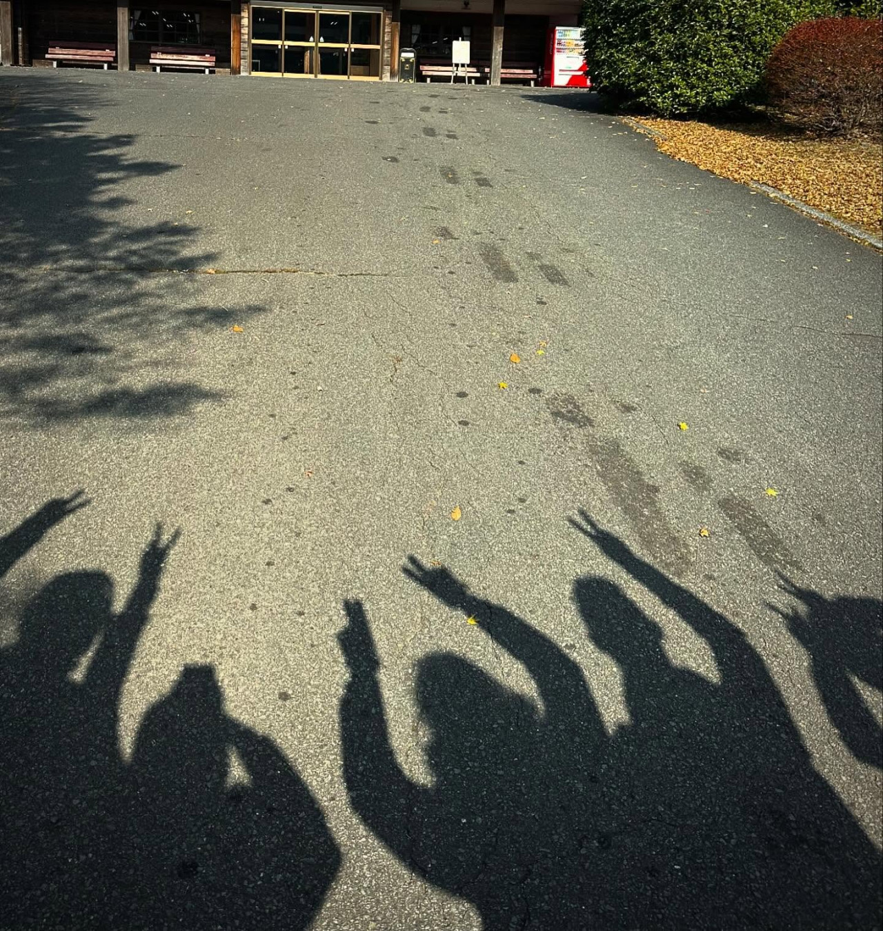 李佳芯2025年首發文默認離巢TVB？IG公開學生證：「以新的身份」 | UHK 港生活