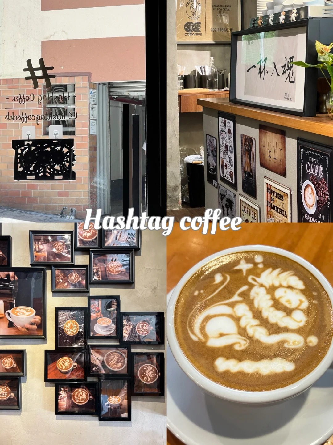 10大香港特色書店推介！文青必去半山書店Cafe/海島書店歎文化風景 | UHK 港生活