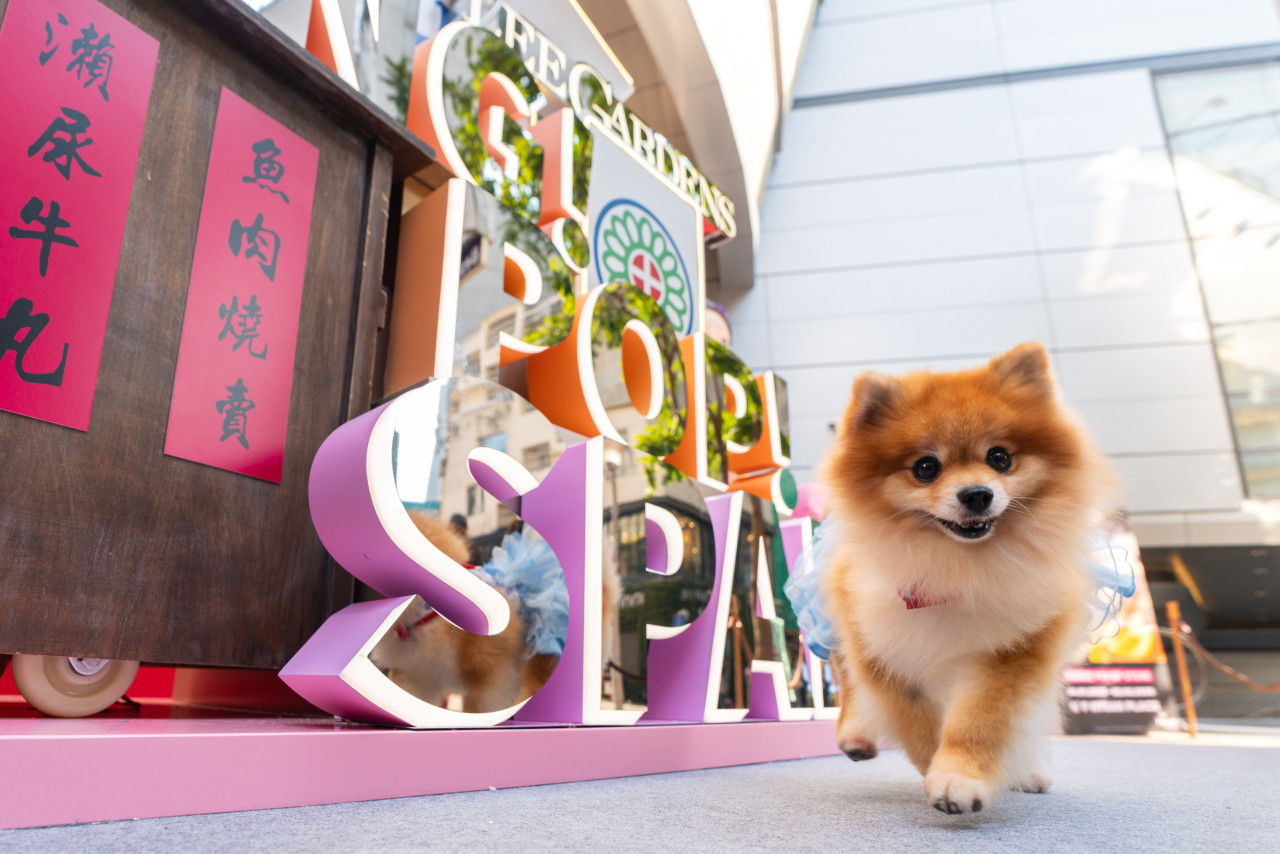 全港新春市集2025｜20+新年好去處 室內年宵花市/文創市集/插畫家KOL周邊（不斷更新） | UHK 港生活