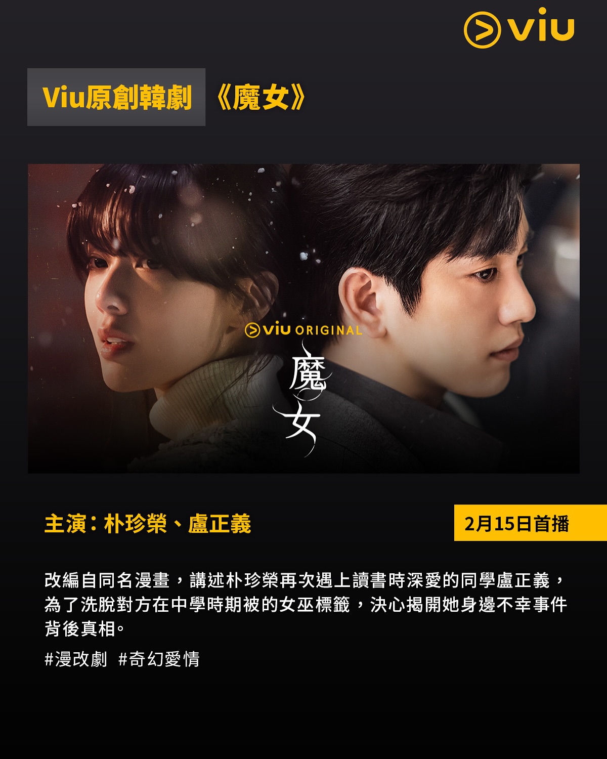 魔女韓劇劇情｜結局遠飛奧地利取景 朴珍榮盧正義角色還原度高！黃Viu同步更新時間 | UHK 港生活