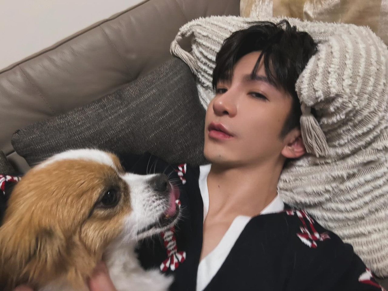 Anson Lo生日西九慈善步行籌款 可攜愛犬參加 精美紀念品/路線圖/報名詳情 | UHK 港生活