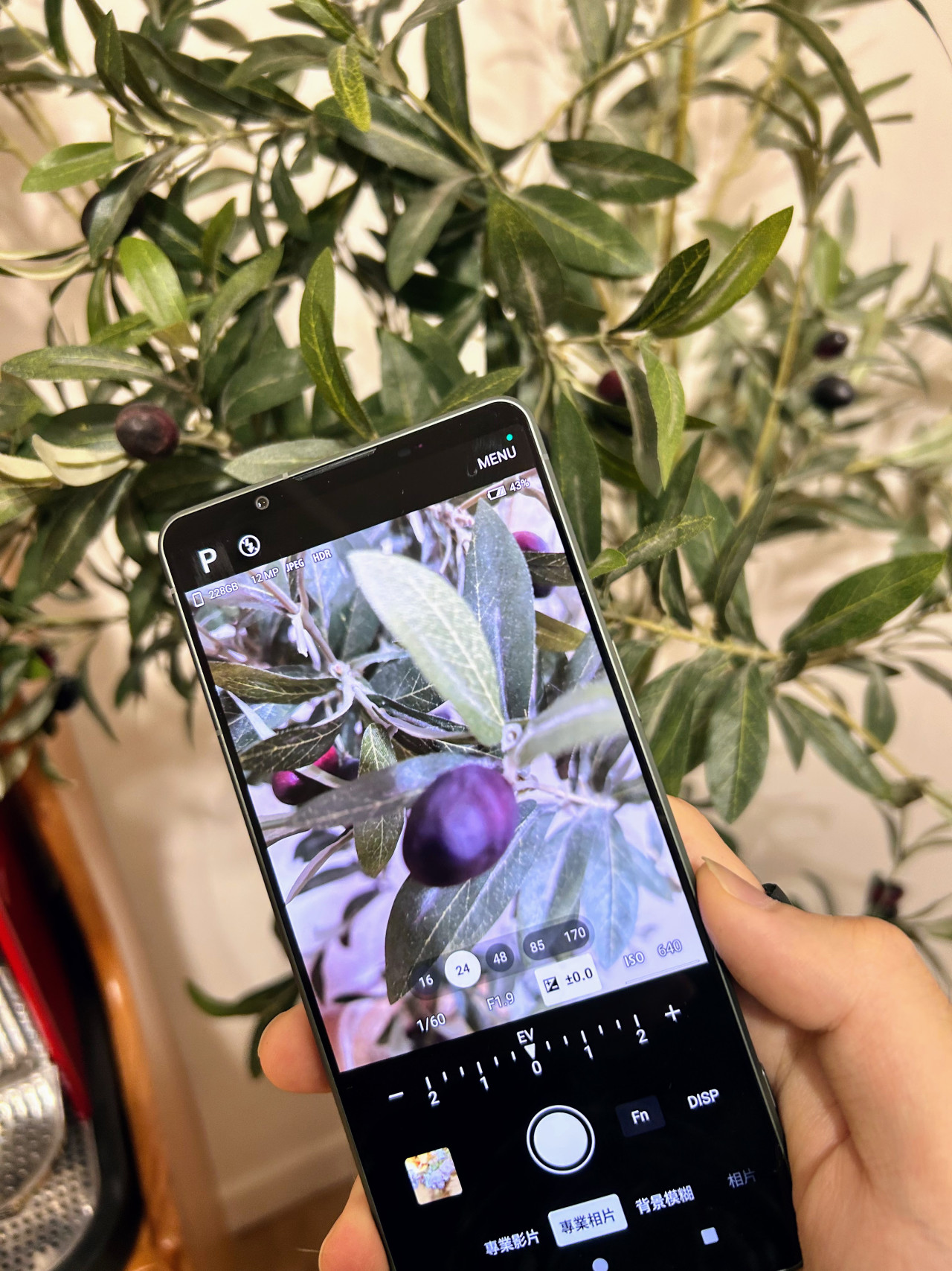 實試｜Sony Xperia 1 VII 萬元級旗艦 AI結合自家相機＋Walkman元素 | ezone