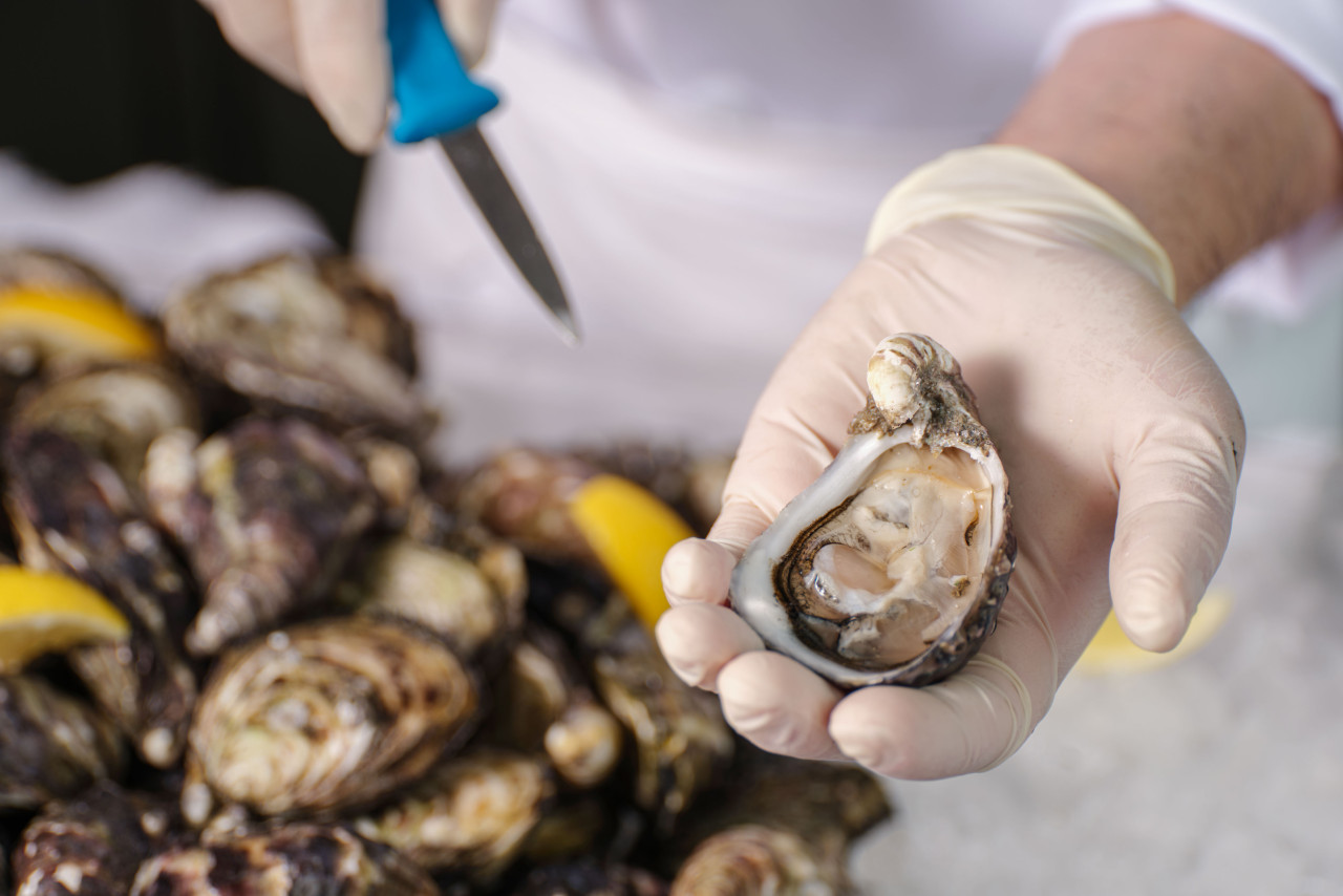 Hotel ICON無限任食南澳生蠔！期間限定南澳美食薈：炭烤龍蝦／M4+牛頸脊／草飼牛斧頭扒 | U Food