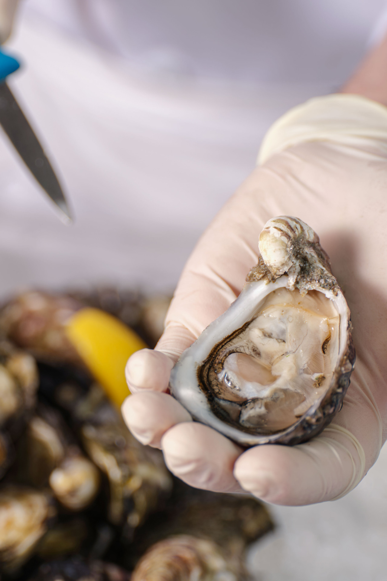 Hotel ICON無限任食南澳生蠔！期間限定南澳美食薈：炭烤龍蝦／M4+牛頸脊／草飼牛斧頭扒 | U Food