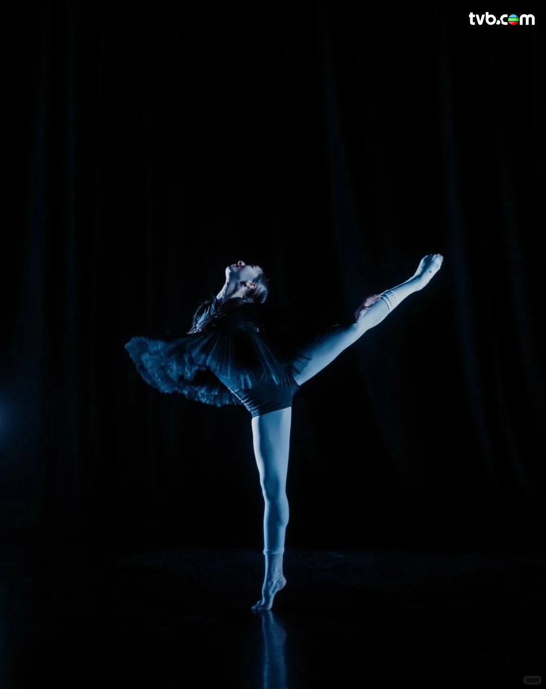 香港小姐2025｜14位佳麗IG起底靚相大公開！個人資料年齡背景高學歷全揭秘 | UHK 港生活