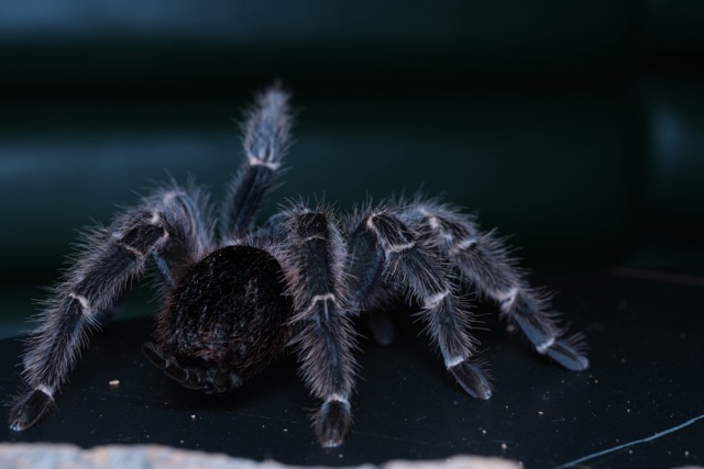 最強全片幅入門機？ 實試Sony A7 V 全片幅無反相機 AI追蹤 30FPS高速連拍 預拍攝下放 | ezone