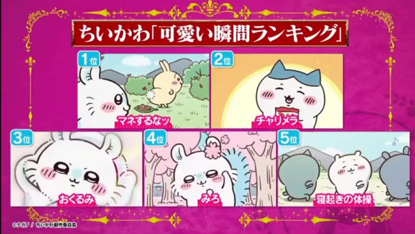 Chiikawa角色MBTI大公開！飛鼠是稀有人格!?小八貓與Lisa一樣!?- U Beauty