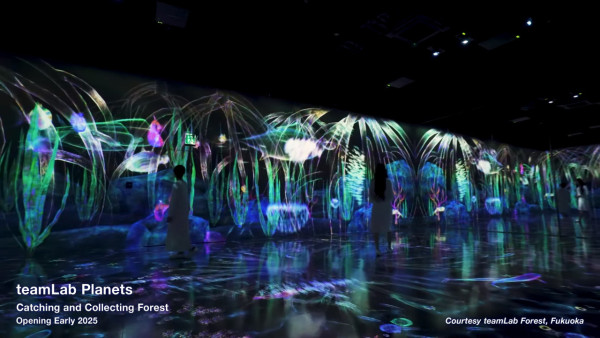 東京豐洲teamLab Planets延長至2027 新作品登場！走進水晶宇宙+光球空間 | U Travel