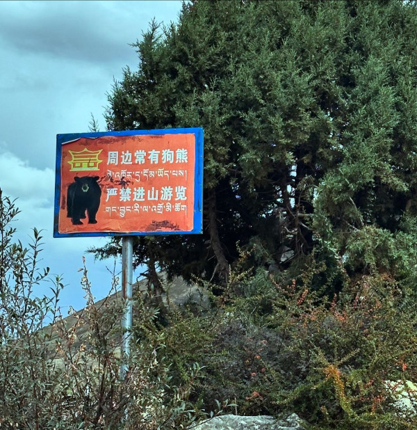 Cookies再合體｜蒲茜兒缺席Stephy演唱會 移民加拿大多年 離婚後獨力湊兩女 | U Travel