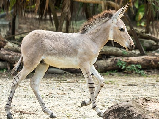 台北親子遊10大好去處 遊樂場/親子農場/動物園/室內溜冰 | U Travel