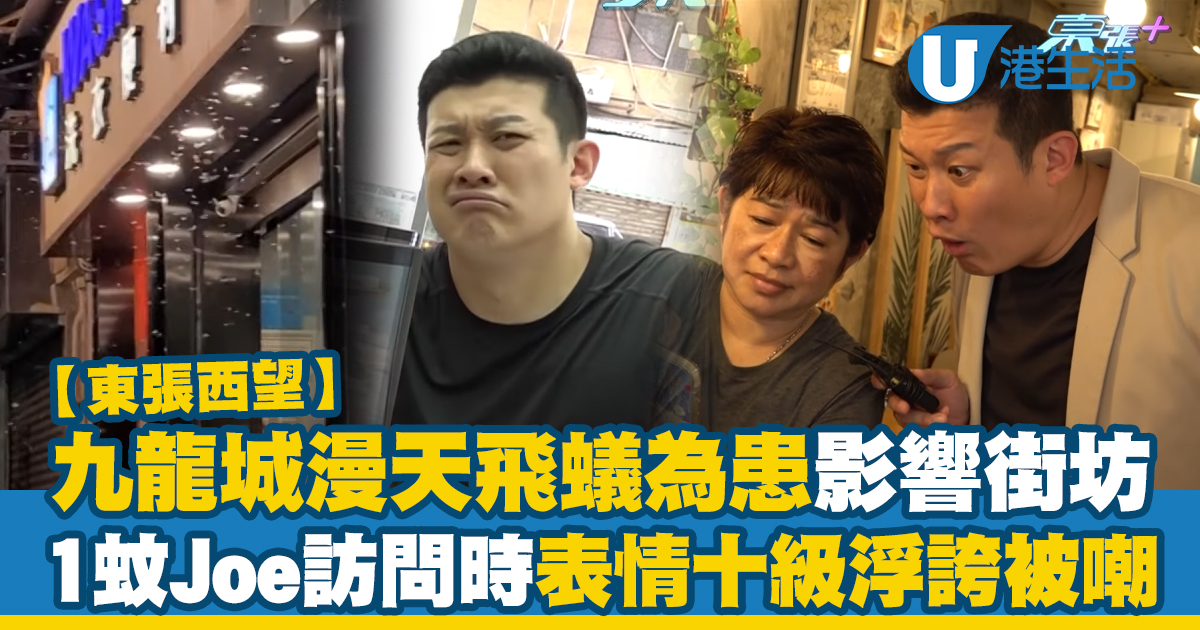 東張西望｜九龍城飛蟻為患漫天飛舞影響街坊 1蚊Joe訪問時露浮誇表情被嘲似拍戲引熱議 | UHK 港生活
