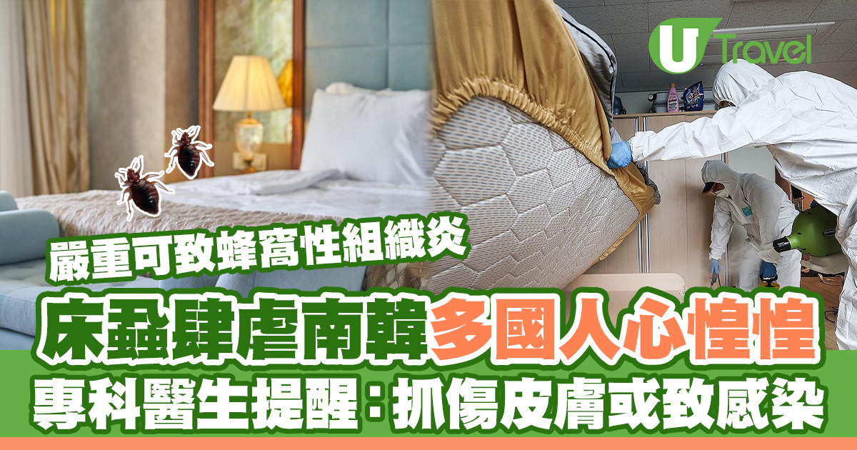 南韓床蝨｜床蝨肆虐多國人心惶惶 醫生：抓傷皮膚或致感染 可致蜂窩性組織炎 | U Travel