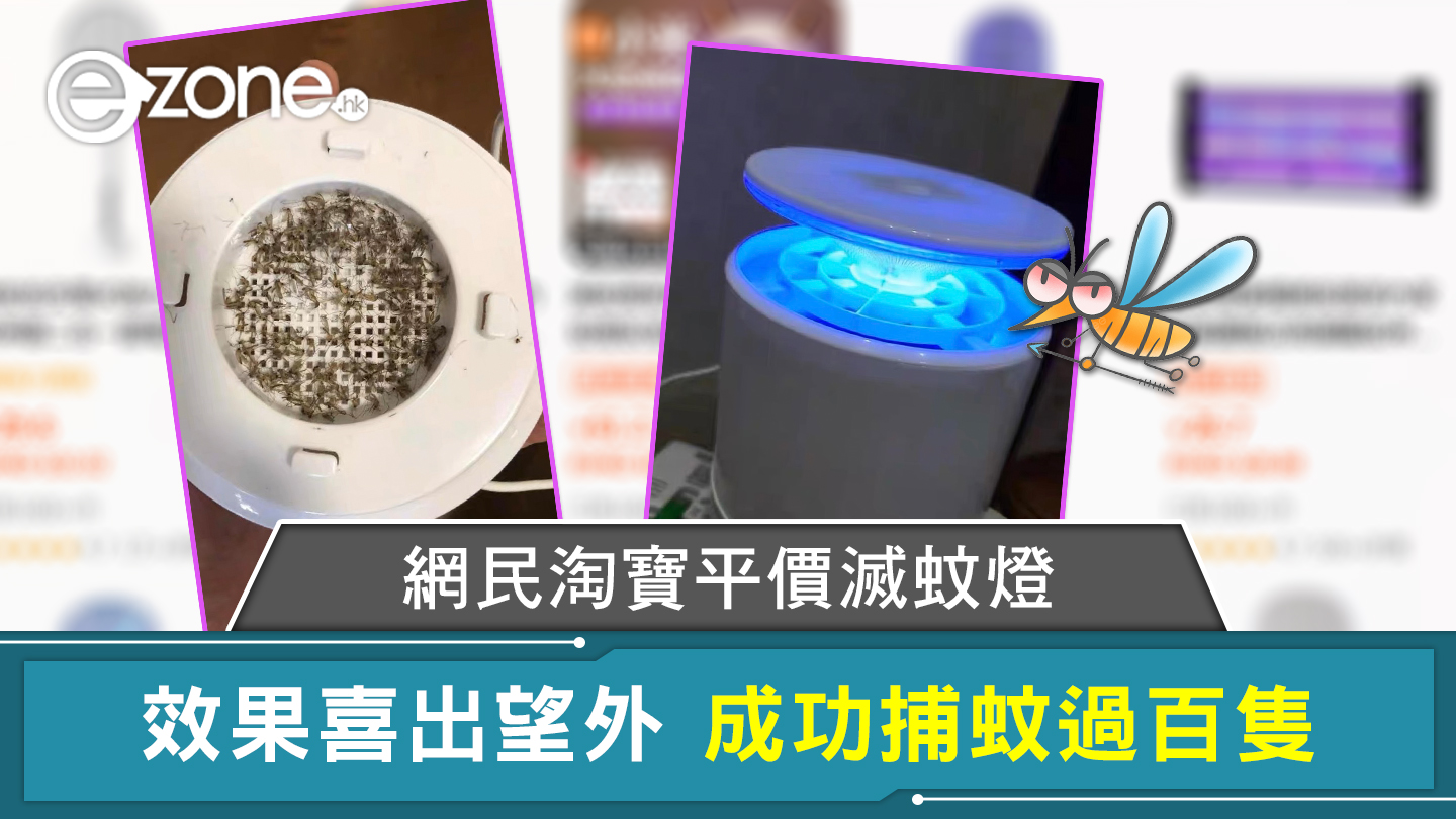 淘寶平價滅蚊燈成救星 村屋網民實測：一周殲蚊過百隻 | ezone