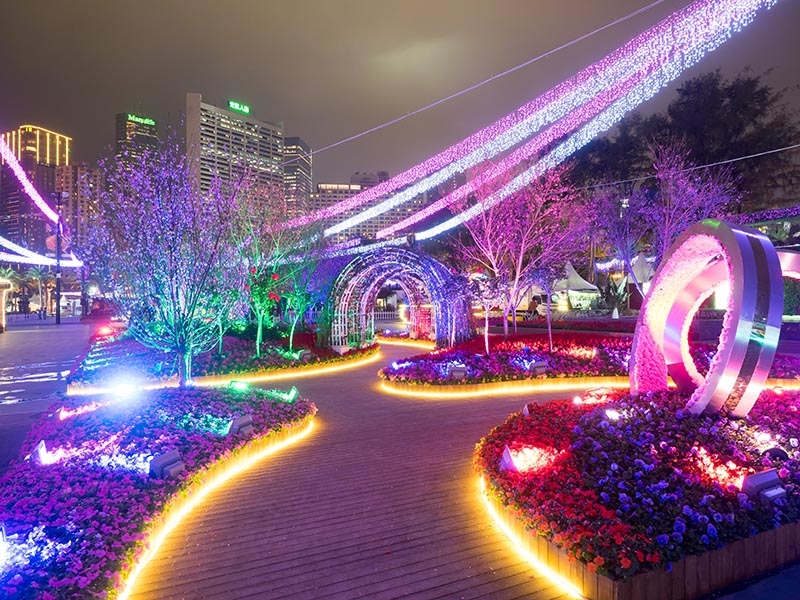 【圖輯】花展夜攝浪漫玫瑰園 | ezone
