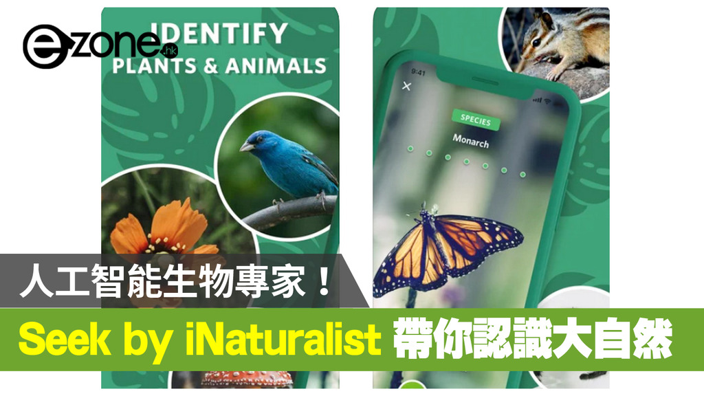 人工智能生物專家 Seek by iNaturalist 帶你認識大自然！ | ezone