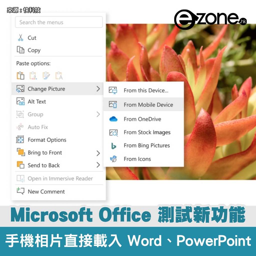 Microsoft Office 測試新功能 手機相片直接載入 Word、PowerPoint | ezone