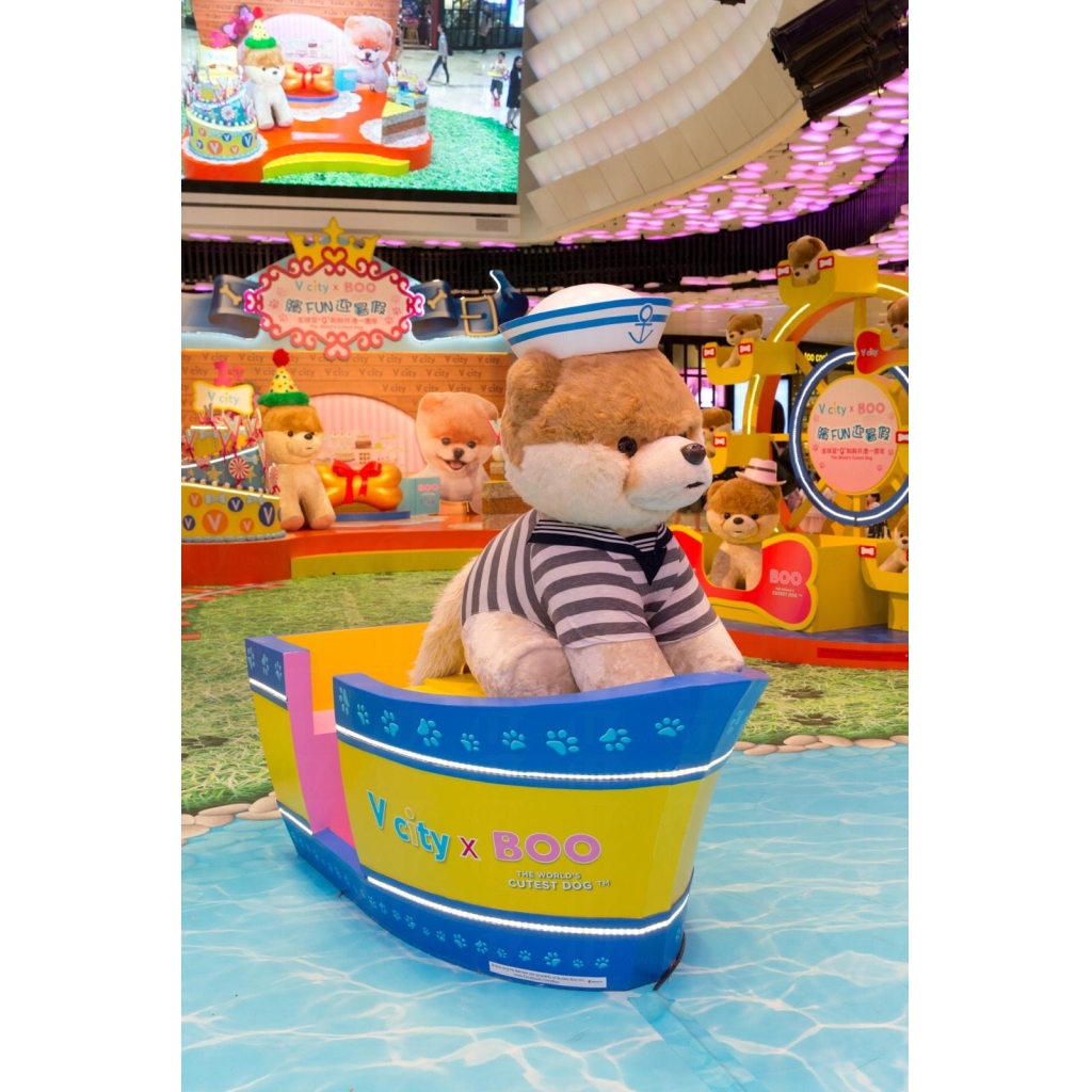 全球最可愛小狗BOO 首度訪港 | U Travel 旅遊資訊網站